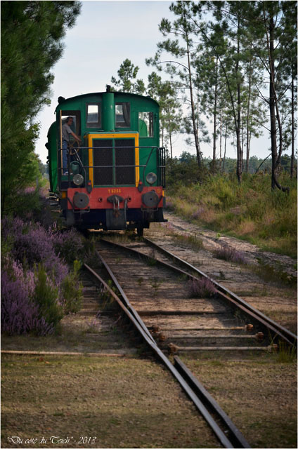 Le petit train de Marquèze | Du côté du Teich