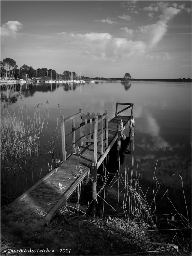 Bord de lac, à Ispe | Du côté du Teich