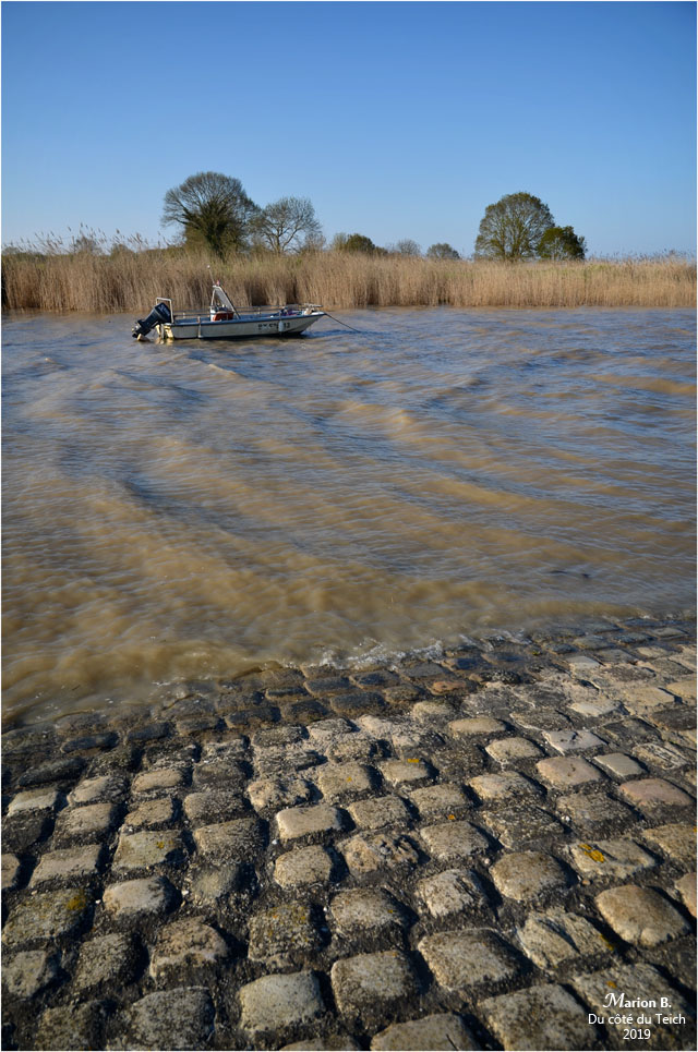 Saint-Estèphe et l’estuaire | Du côté du Teich